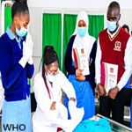 An exploration of clinical learning experiences of higher diploma ...